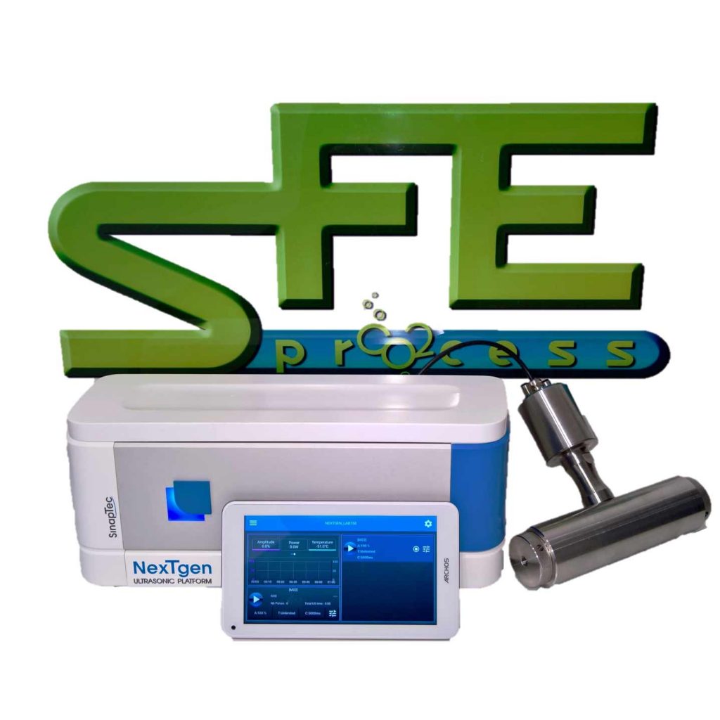 SFE Process – Damico Sistemas